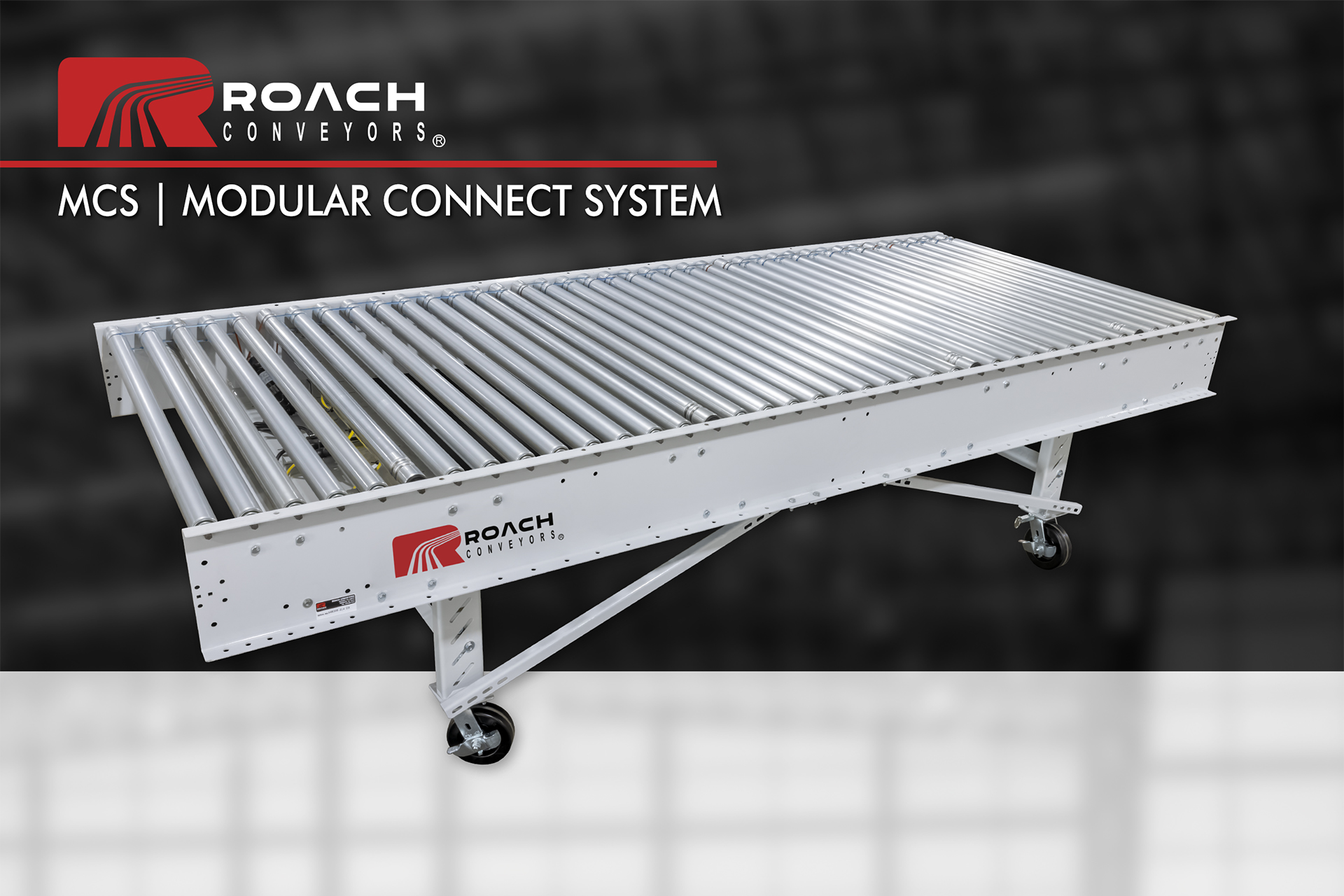 Gator Singulator - Roach Conveyors