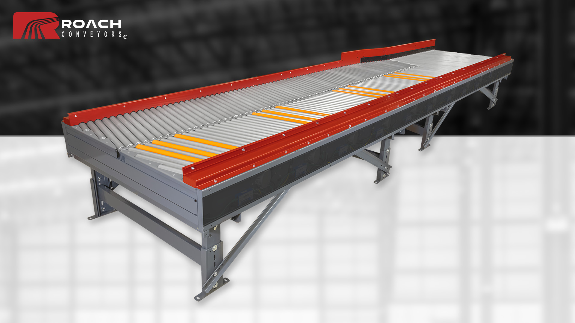 Sortation and Singulation - Roach Conveyors